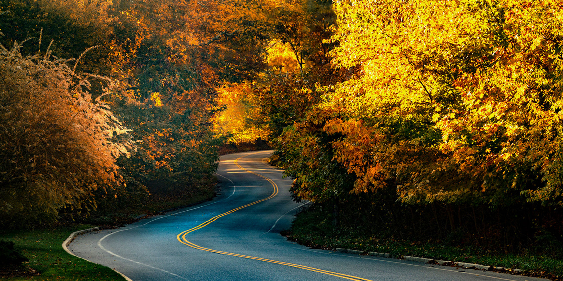 Butler Maps - Explore New Adventures